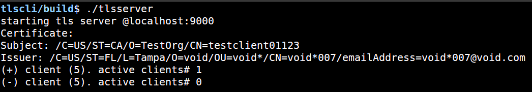 tls_client_server | TLS enabled client and server